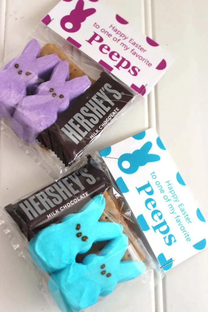 Marshmallow Peeps Smores Recipe with Easter Gift Tag Printables