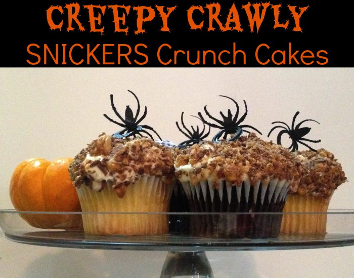 Snickers Cupcakes Crunchy Halloween Spider Party Cakes