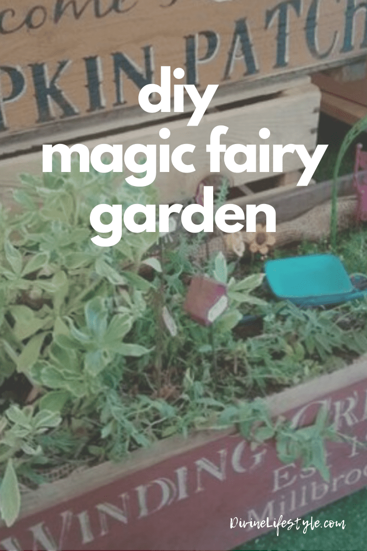 DIY Magic Fairy Garden Plant Tutorial Divine Lifestyle