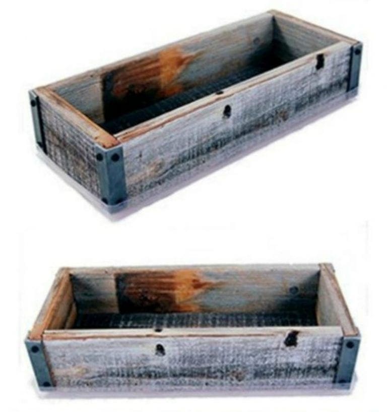 DIY Magic Fairy Garden Plant Tutorial Divine Lifestyle