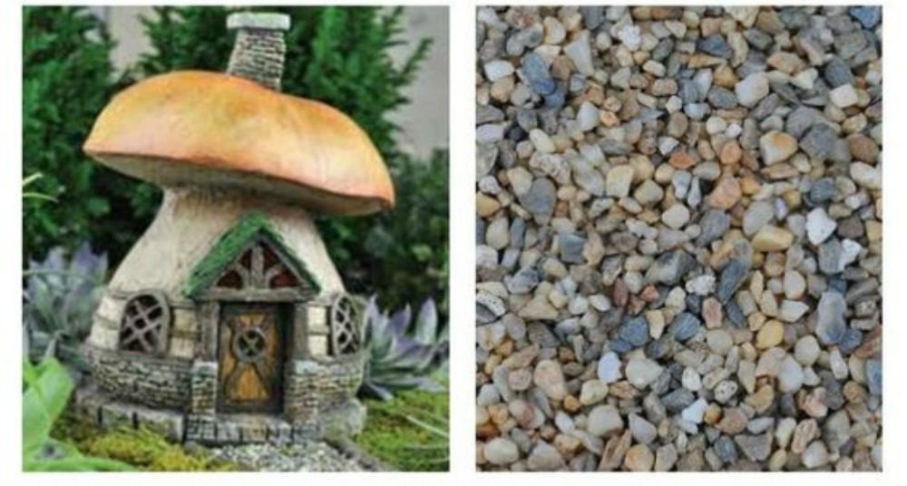 DIY Magic Fairy Garden Plant Tutorial Divine Lifestyle