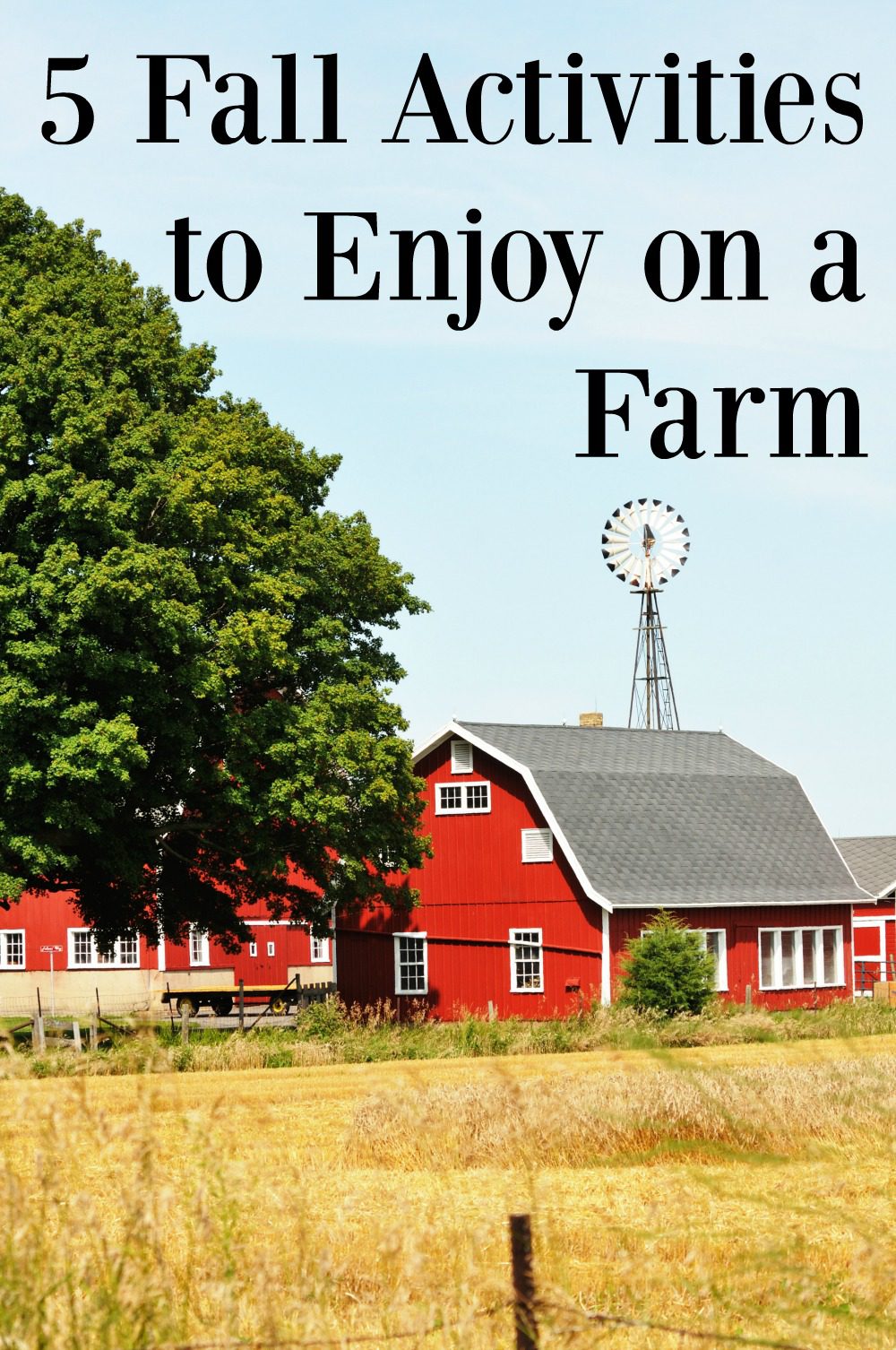 5 Fall Activities to Enjoy on a Farm Family Activities