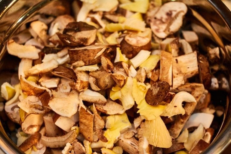 Savory Wild Mushroom Bread Pudding Recipe for the Holidays