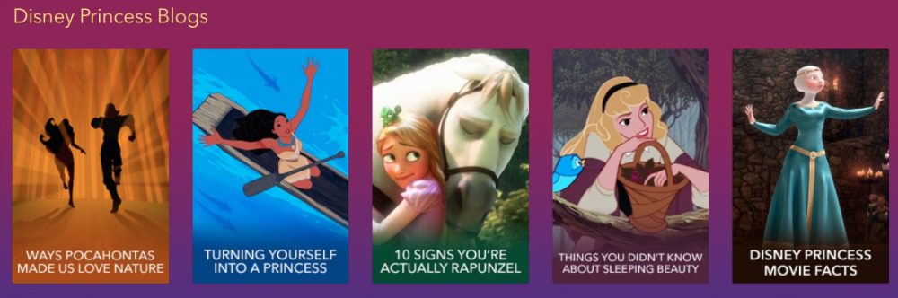 What’s your big dream for 2017? Disney Princess Divine Lifestyle