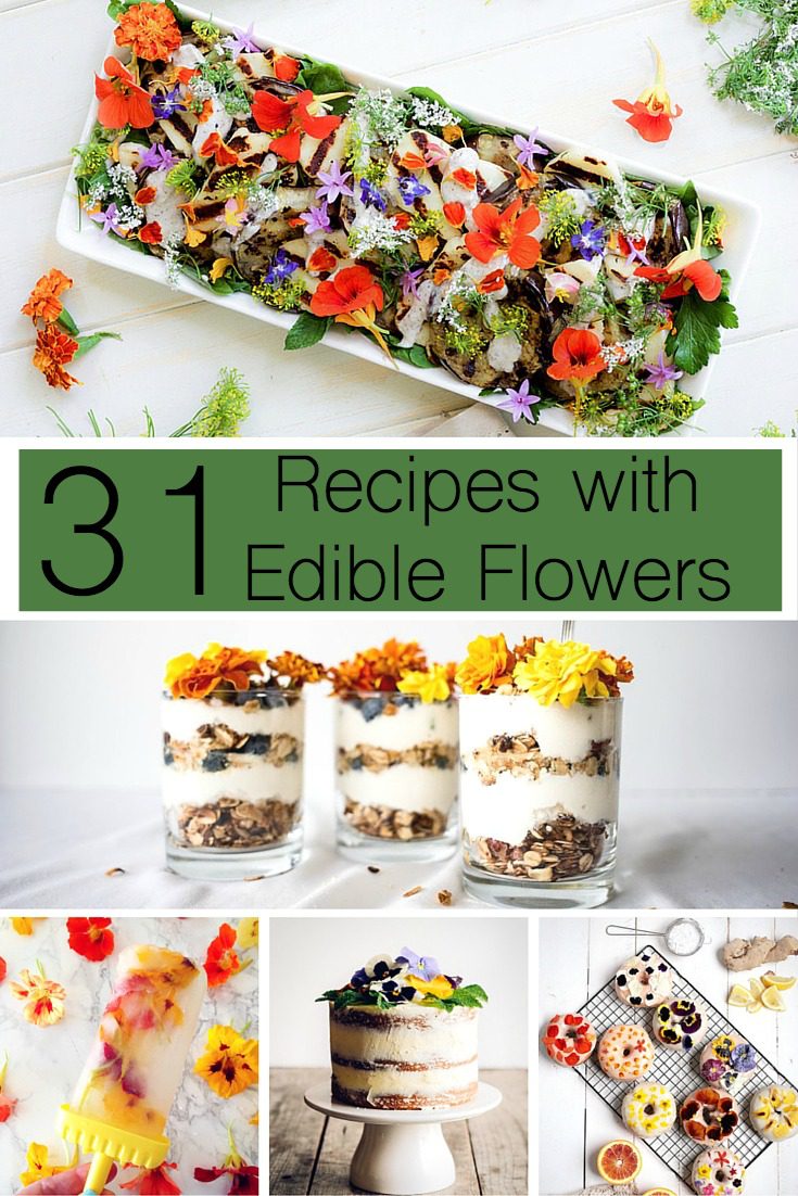 Recipes with Fresh Edible Flowers Cake Salad Cocktails