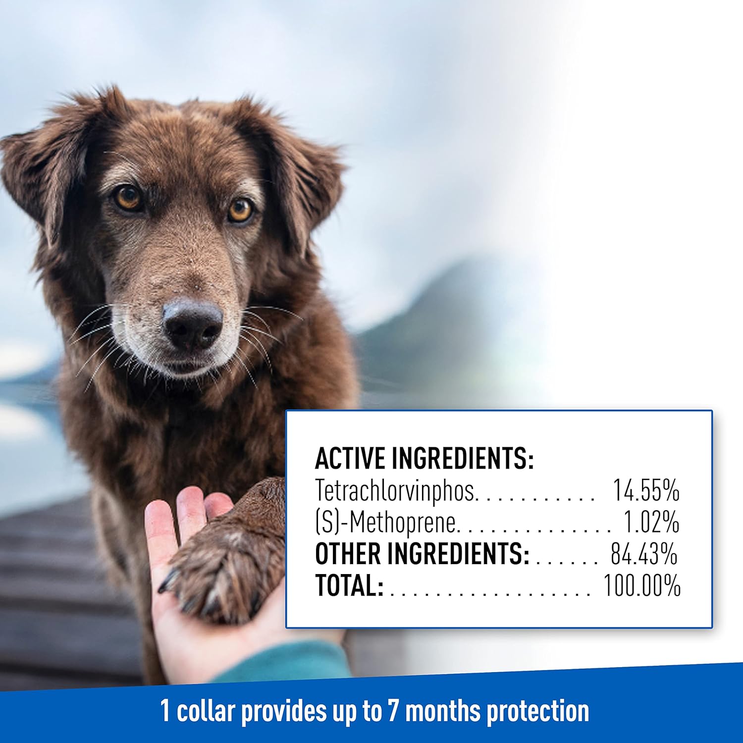 Adams Flea and Tick Collar for Dogs