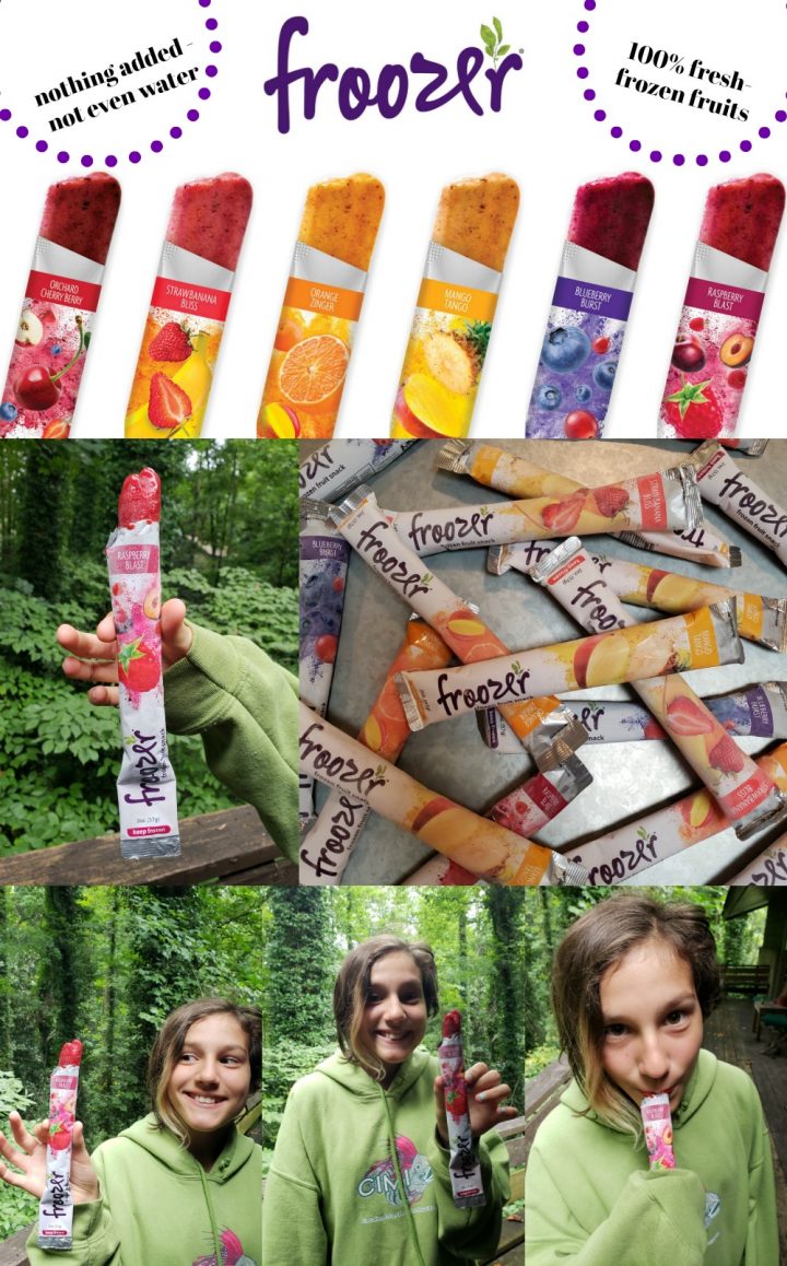 Froozer fresh-frozen fruits for kids and adults popsicles