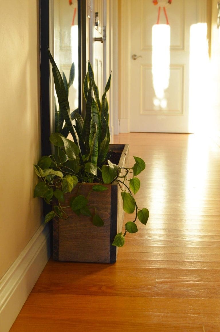 Diy Rectangle Wood Planter Box Plans Free Ideas