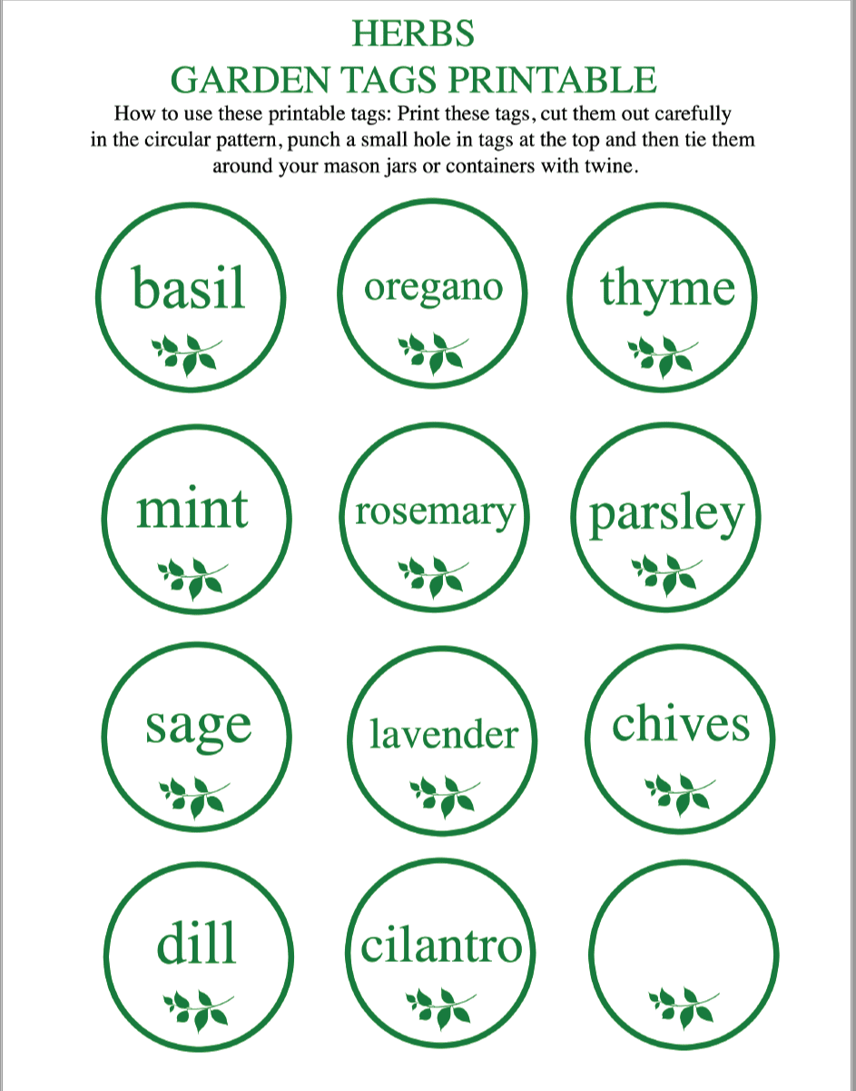 Indoor Windowsill Herb Garden + Free Printable Herb Garden Tags