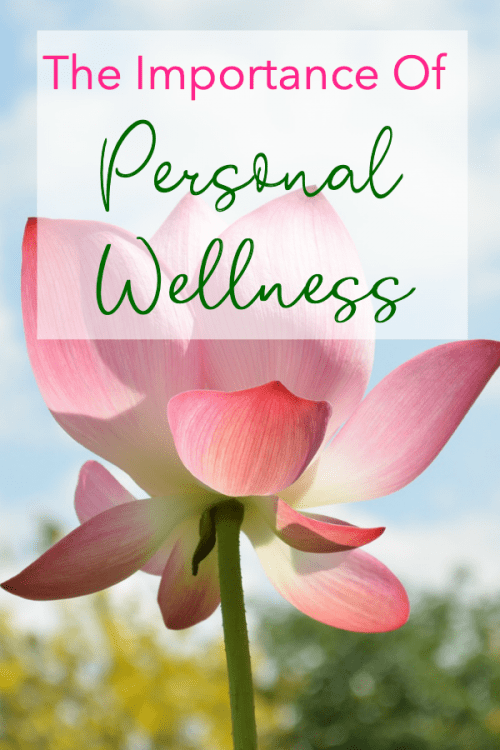 Personal Wellness Plan Health Planning