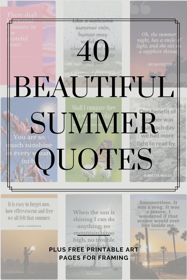 Summer Lovin Quotes