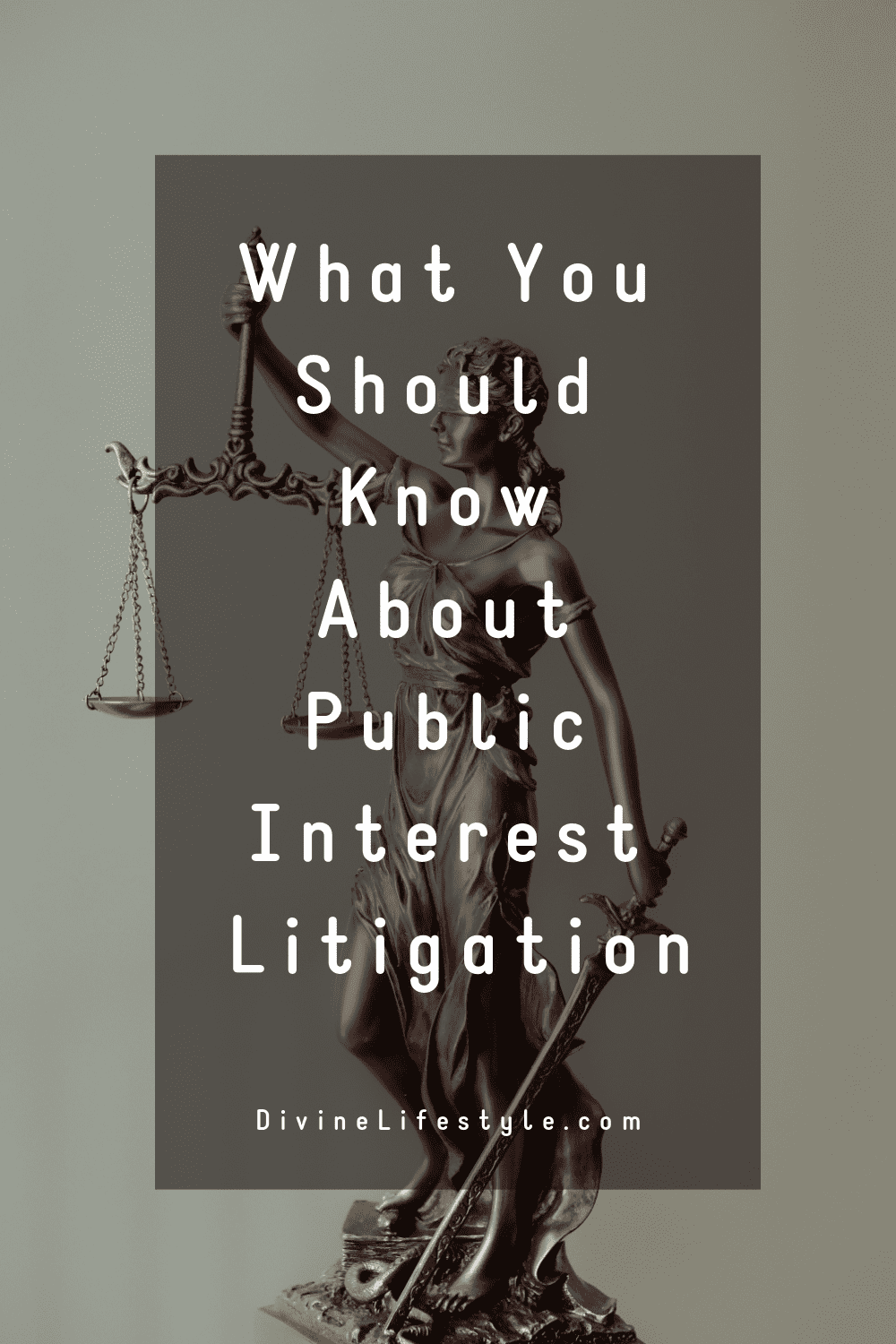 What You Should Know About Public Interest Litigation