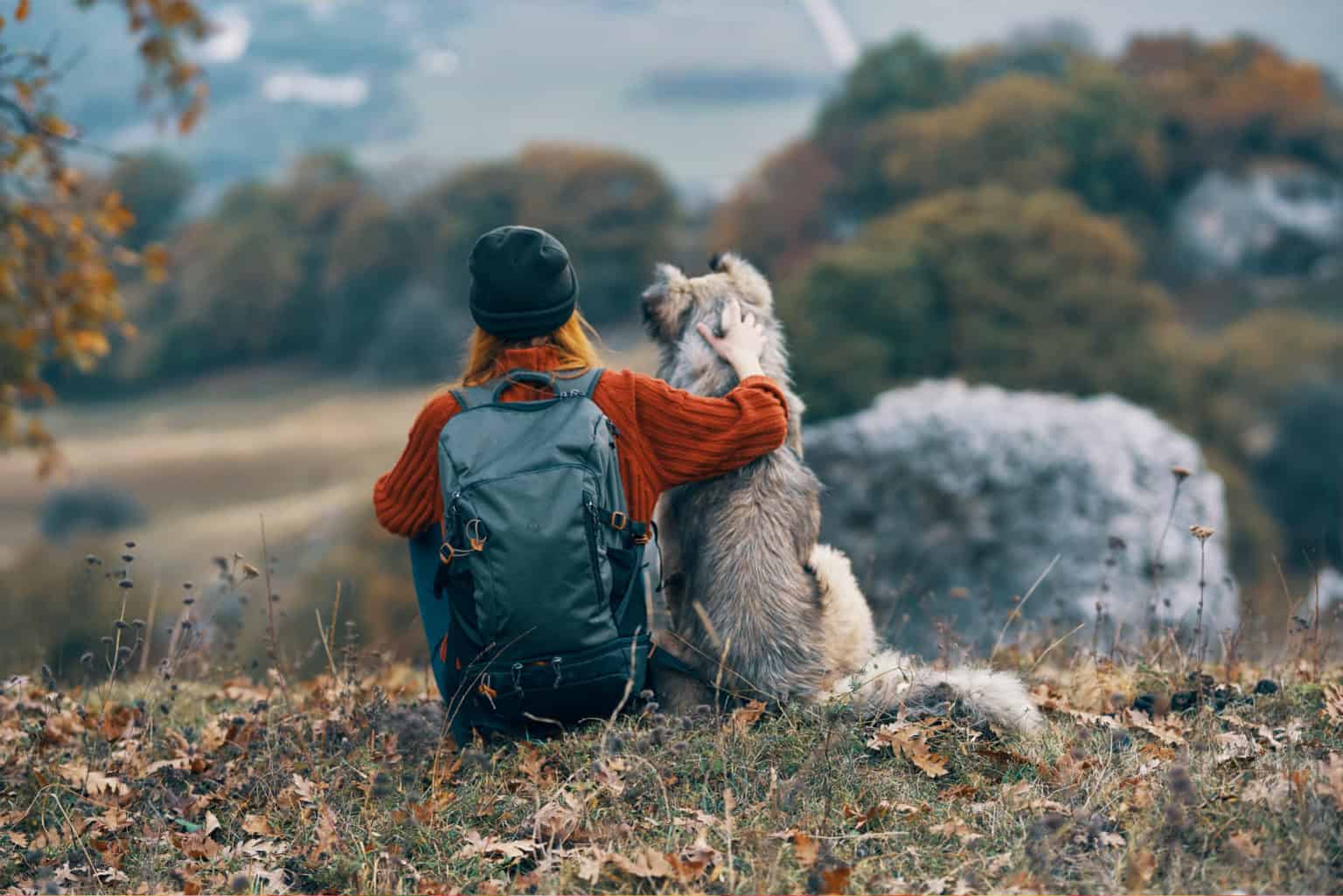 6 Fantastic Active Dog Breeds for Active People - Divine Lifestyle