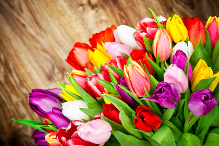4 Creative Ways To Use Tulip Bulbs In Your Garden