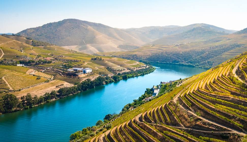 Douro River Cruise