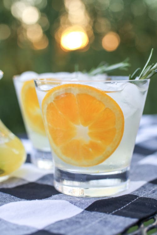 Lemon Vodka Spritzer Recipe Cocktail Beverage